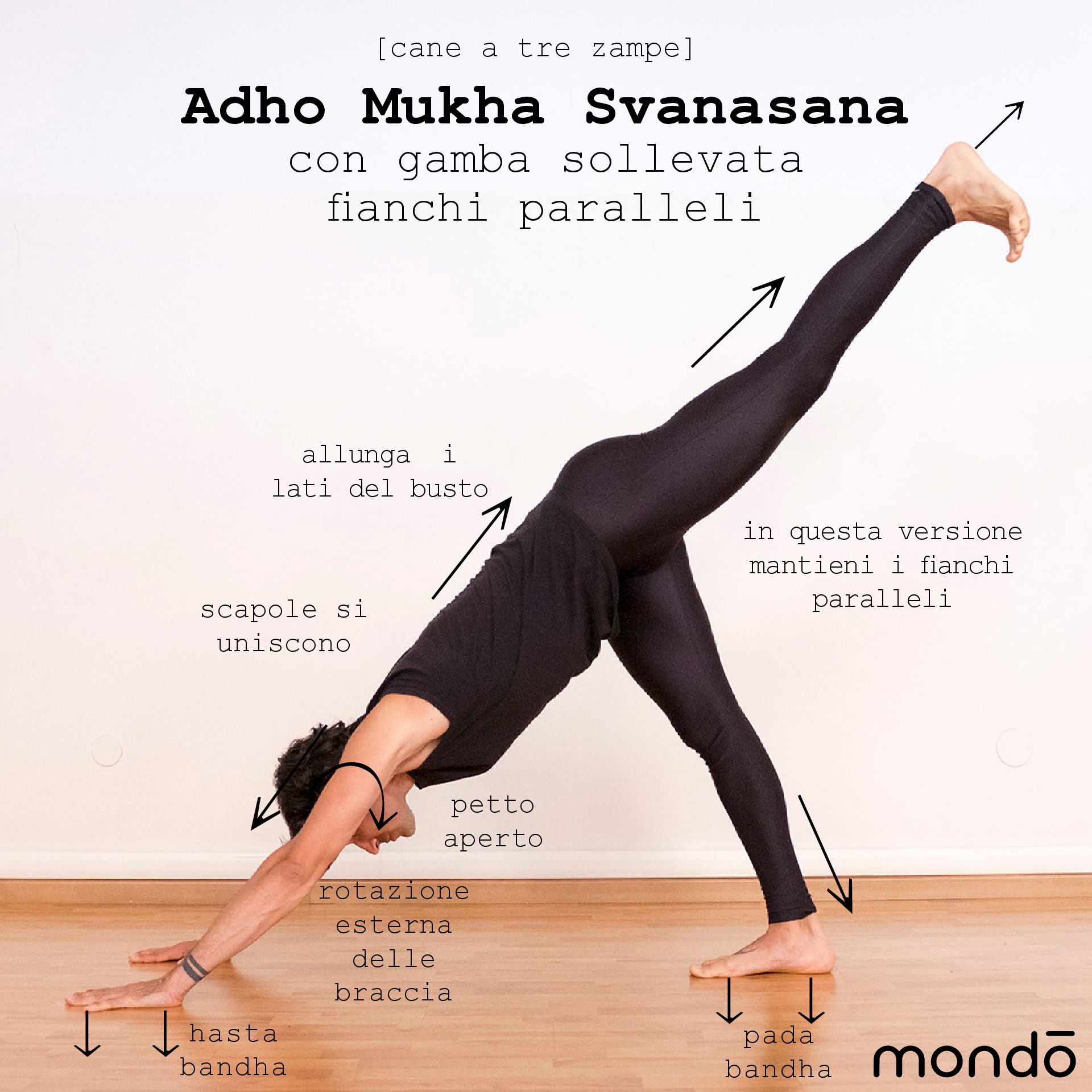 Yoga Tips – Mondo